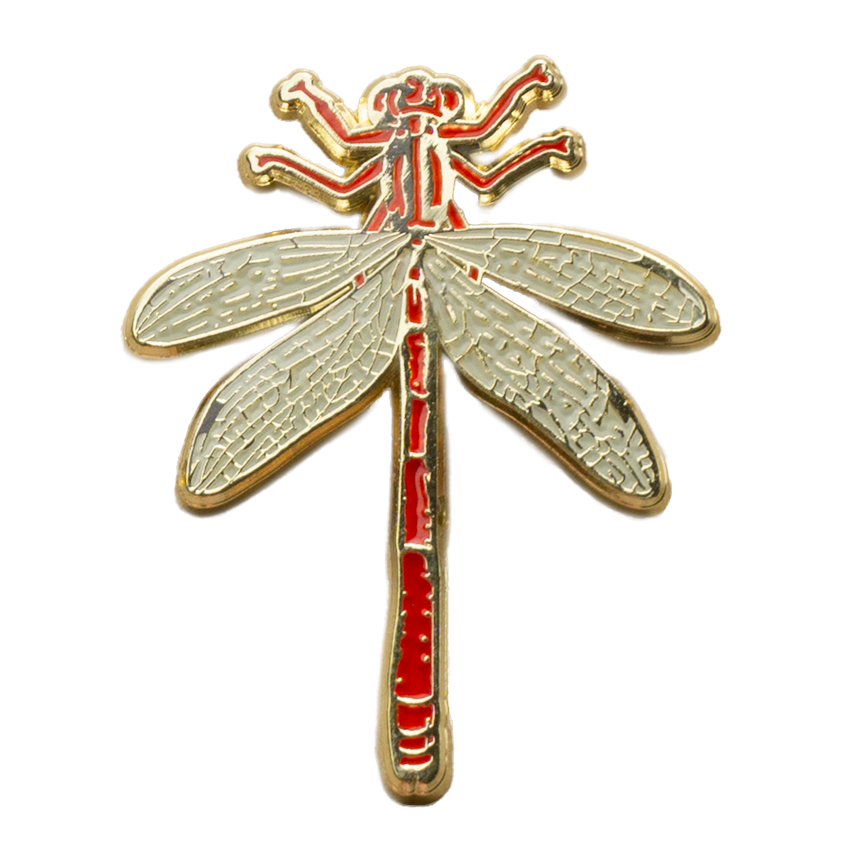 Pinapinao Pin – Laulima