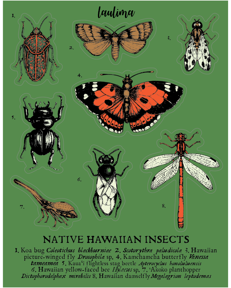 Bug Sticker Sheet – Laulima